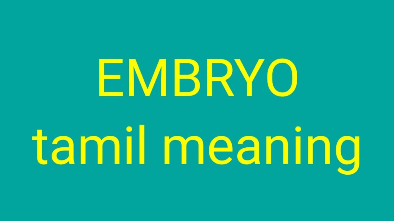 EMBRYO Tamil Meaning sasikumar YouTube