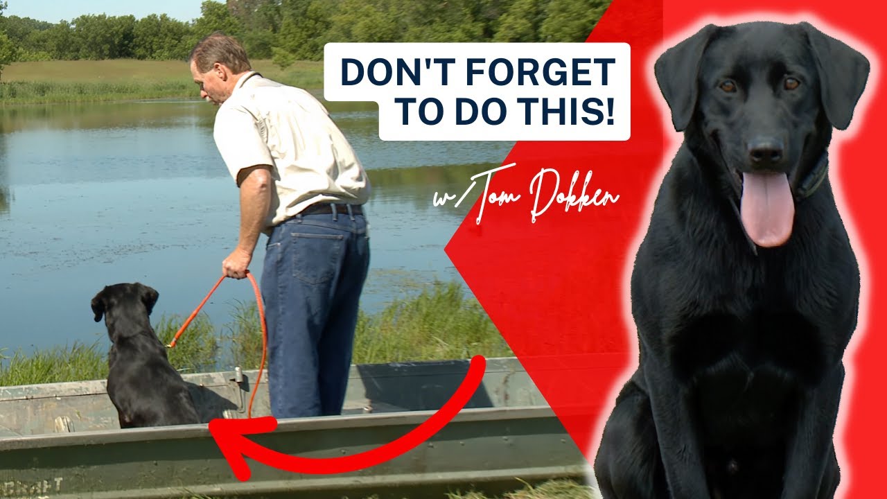 4 Steps to Successfully Introducing Your Hunting Dog to a Boat - YouTube