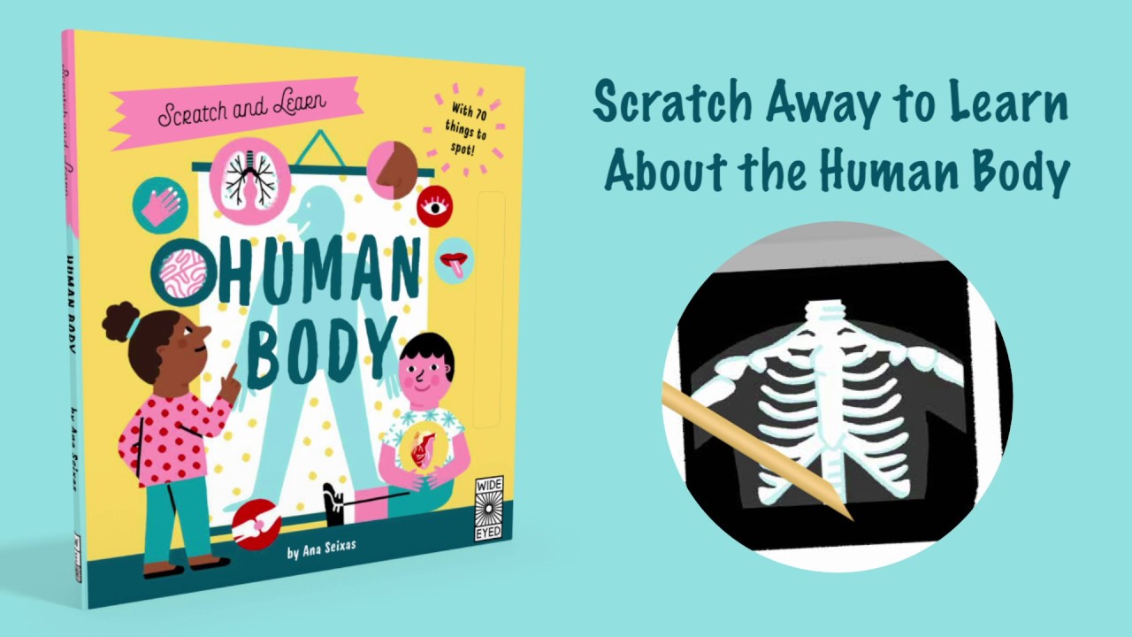 Scratch and Learn: Human Body | Preview Video - YouTube