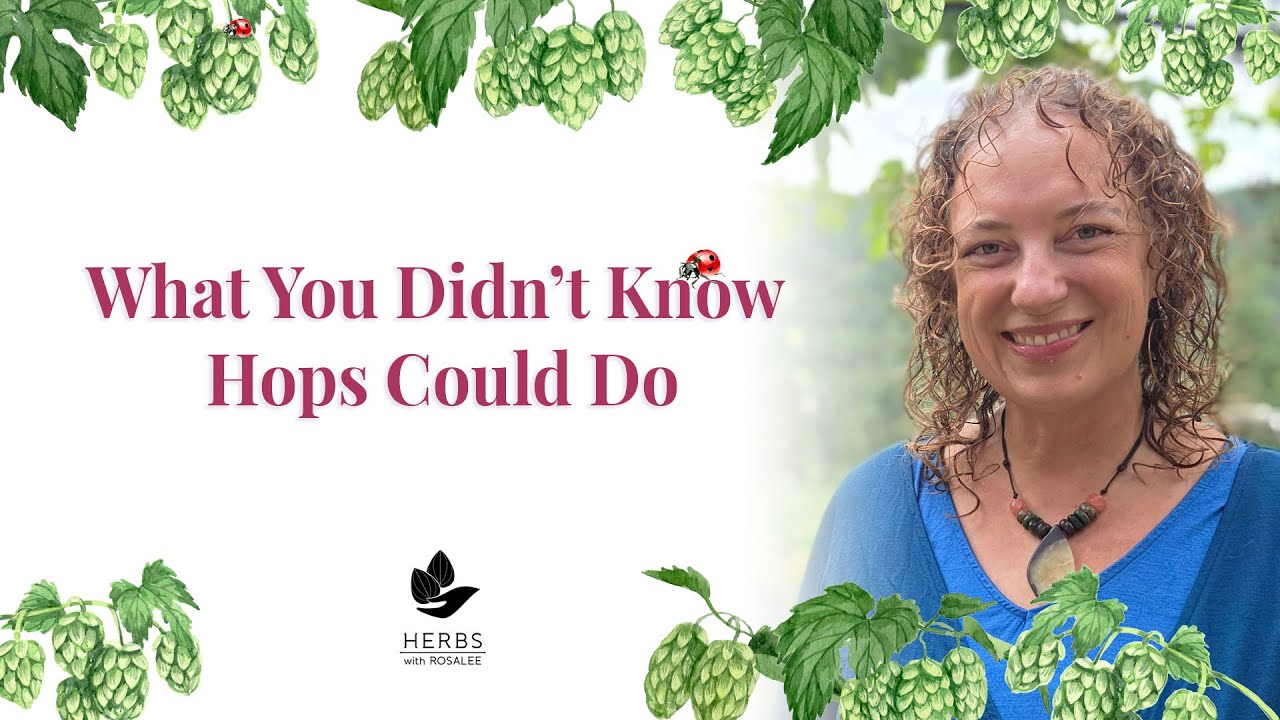 Hops Benefits for Metabolic Health - YouTube