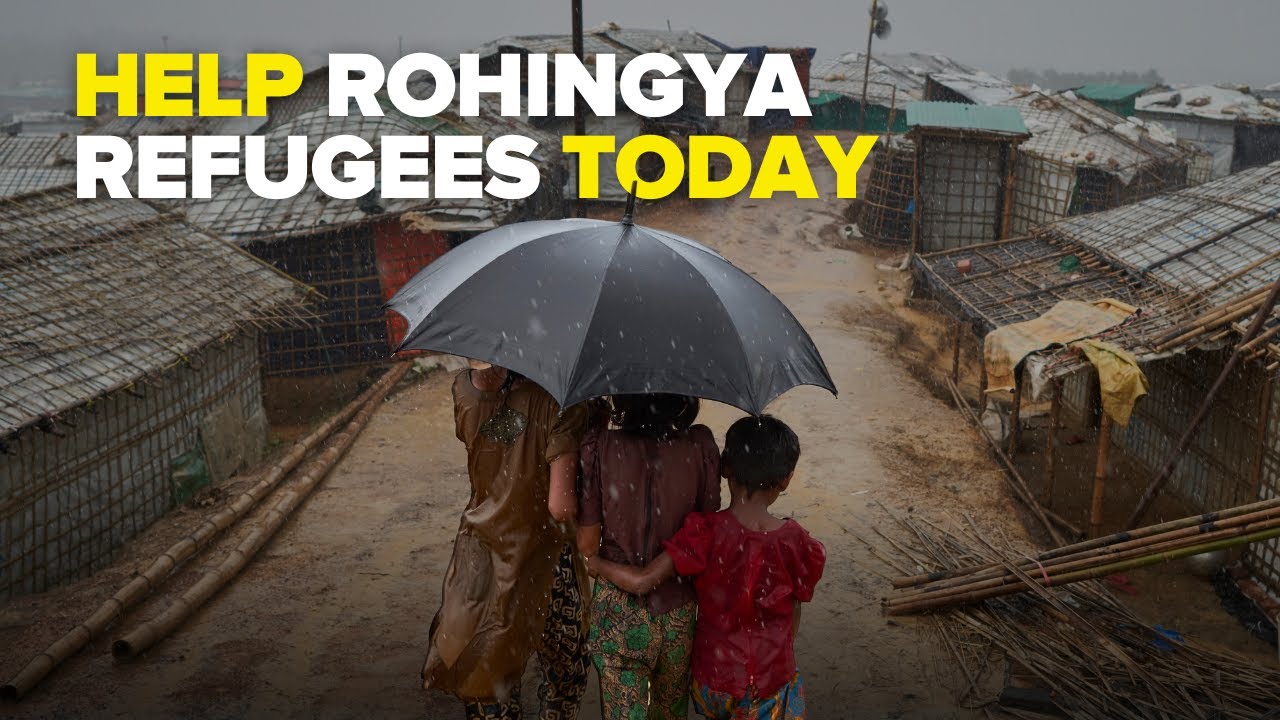 What is UNHCR doing to support Rohingya refugees? - YouTube