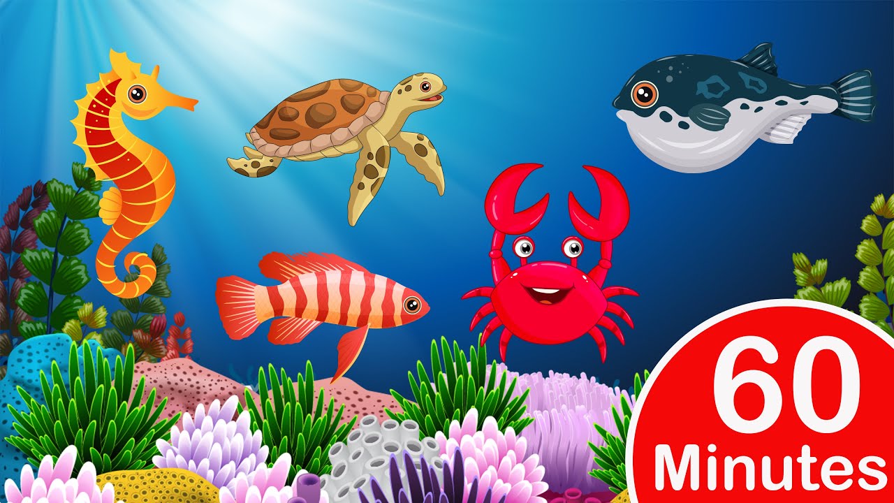 1 Hour Lullaby for Babies To Go To Sleep | nursery rhymes | Aquarium ...