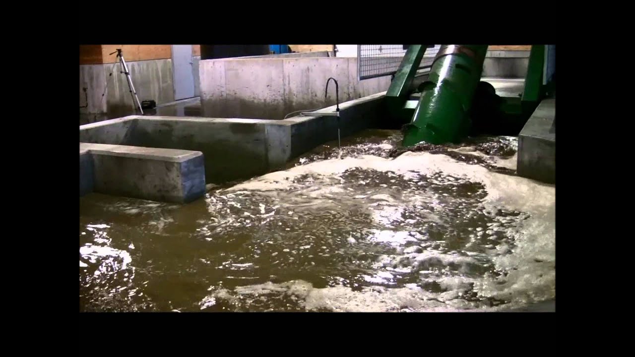 one shot sand cannon - YouTube