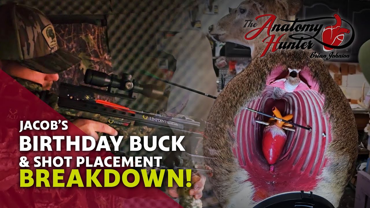 Birthday Buck & Shot Placement Breakdown - YouTube