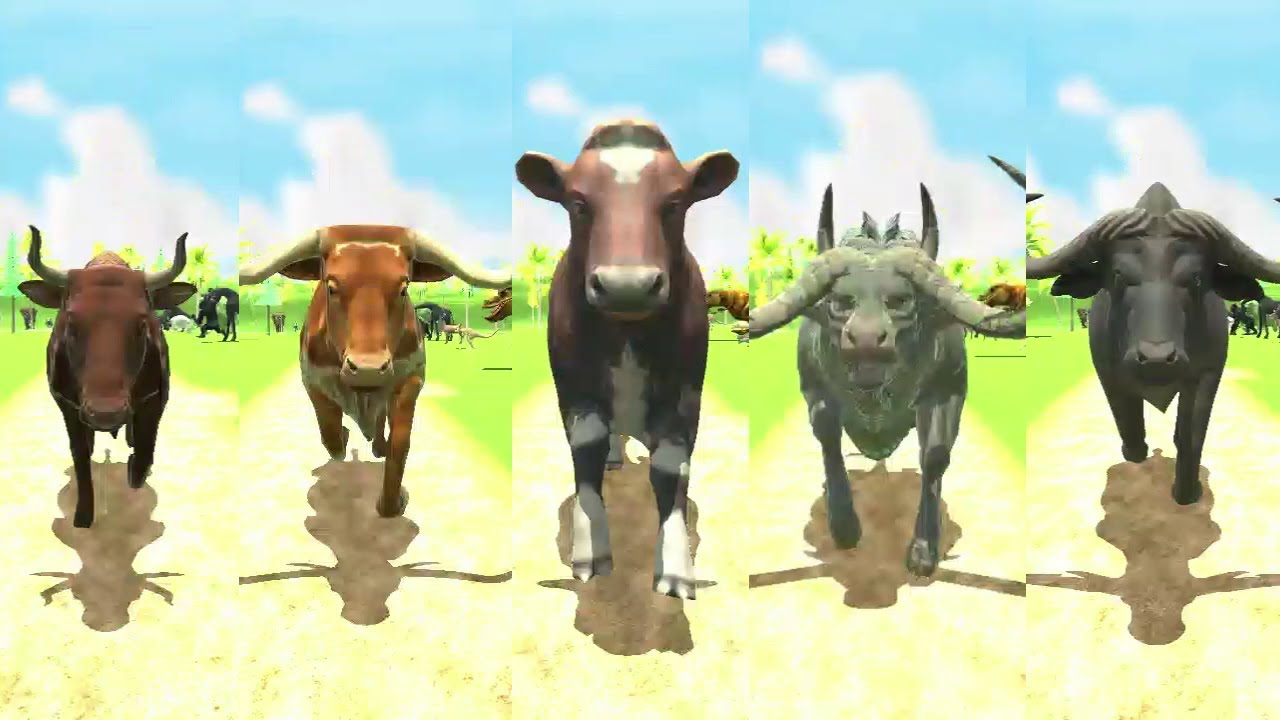 All Bovidae Animals Speed Races | Buffalo, Cow, Cattle - YouTube