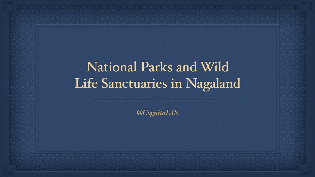 National Park and Wild Life Sanctuaries in Nagaland - YouTube