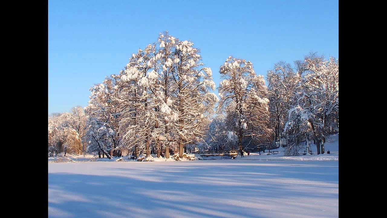 Parcul Nicolae Romanescu din Craiova - iarna 2012 - YouTube