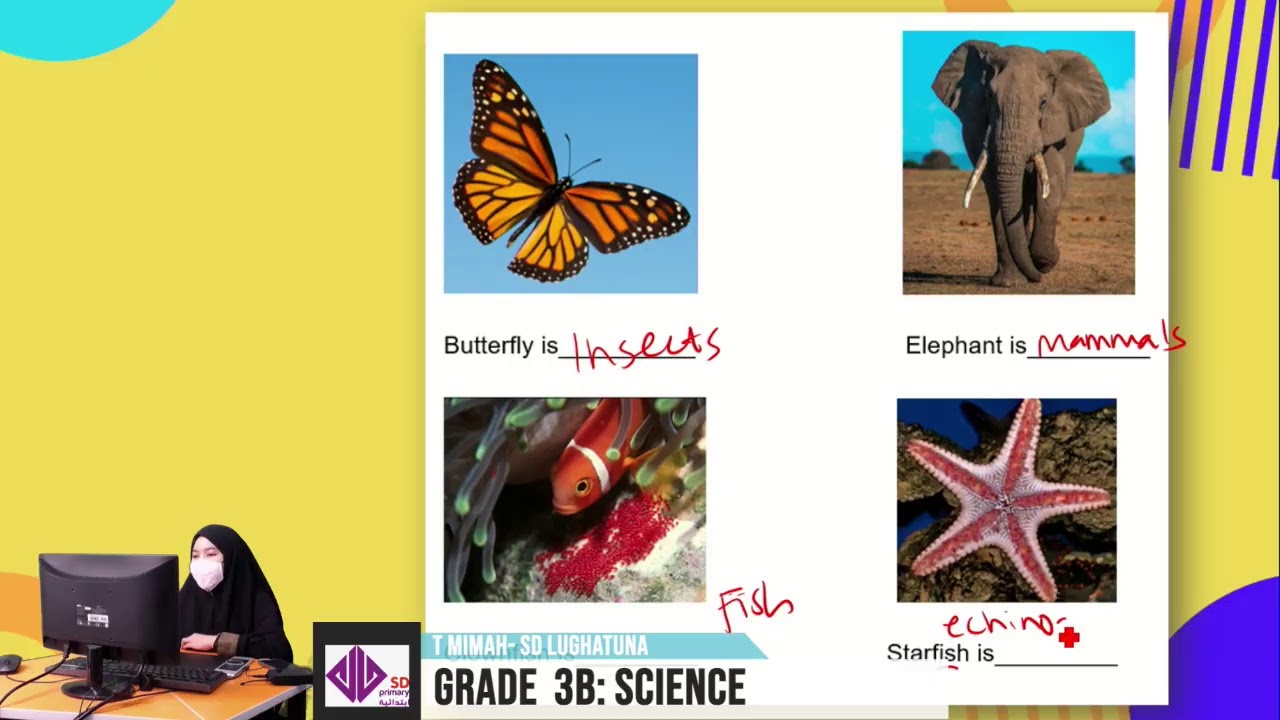 [LIVE] Grade 3B: Science - YouTube