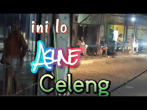 Kondisi Simpang Panorama Celeng Subang.
