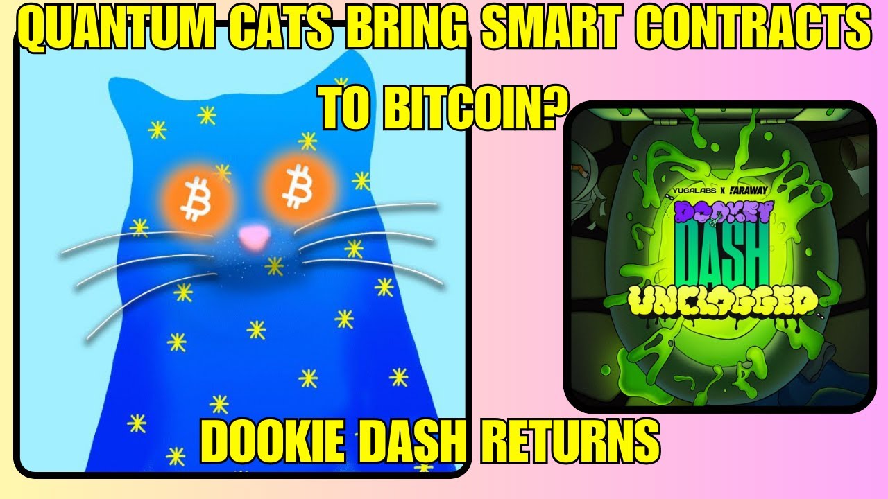 Help! OP_CAT is Missing! | Quantum Cats Quest | Yuga Labs Dookie Dash ...