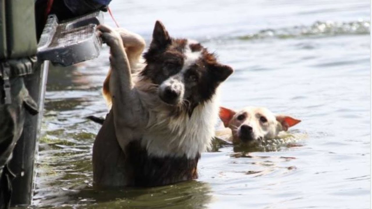 Truck Driver Devises A New Side Hustle That’s Already Saving Hundreds ...