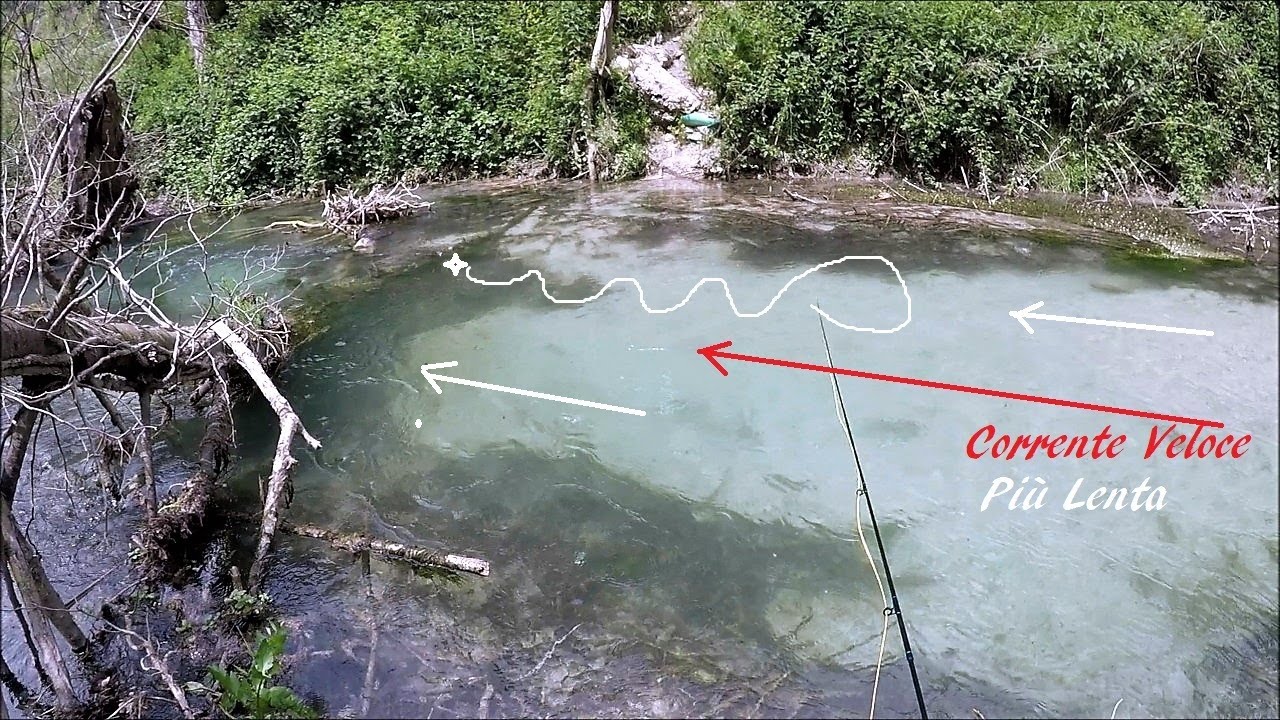 UNIVERSITA DELLA PESCA A MOSCA CON LA SECCA DOWNSTREAM By Giancarlo ...