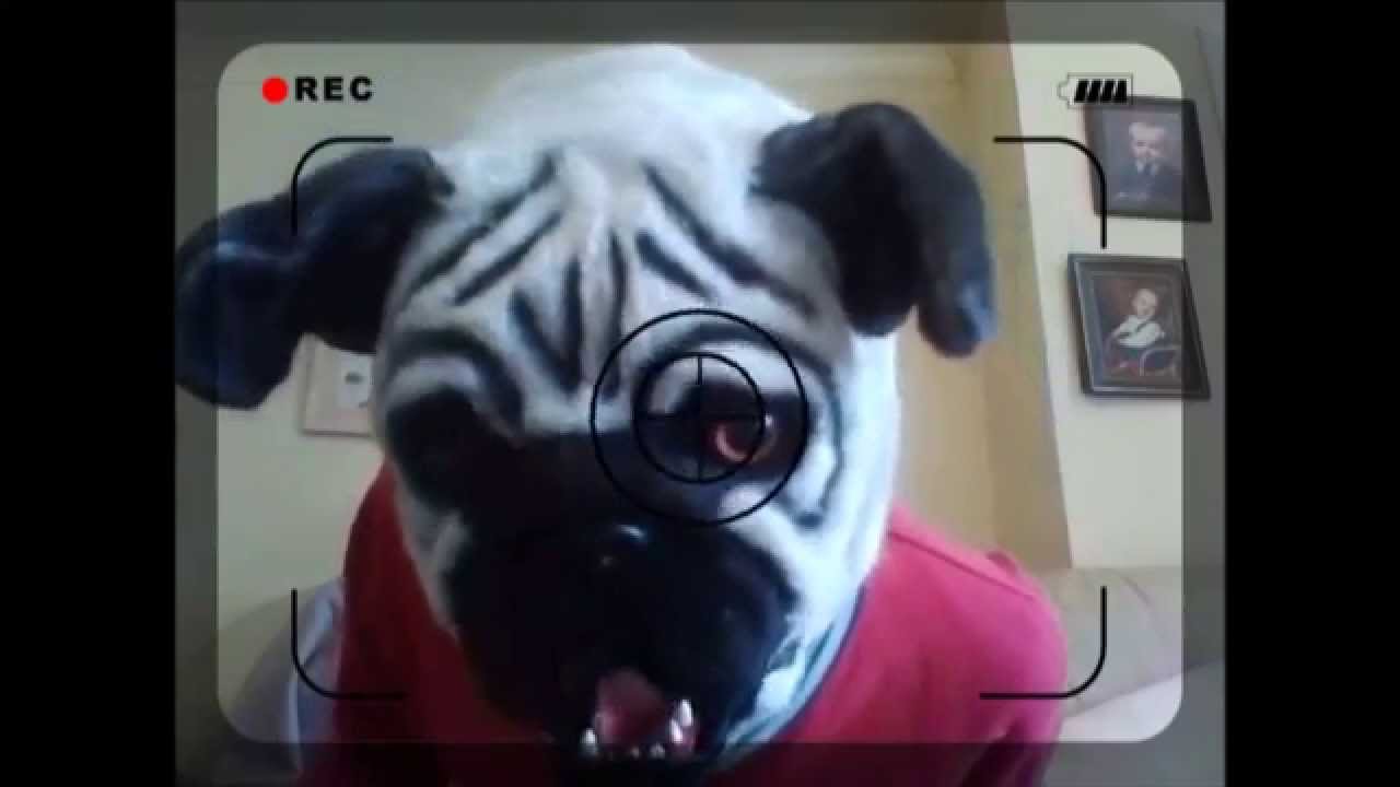 Realistic Pug Dog Mask Live Action Test - YouTube