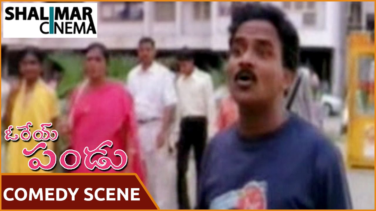 Orey Pandu Movie || Brahmanandam And Venu Madhav Funny Comedy Scene ...