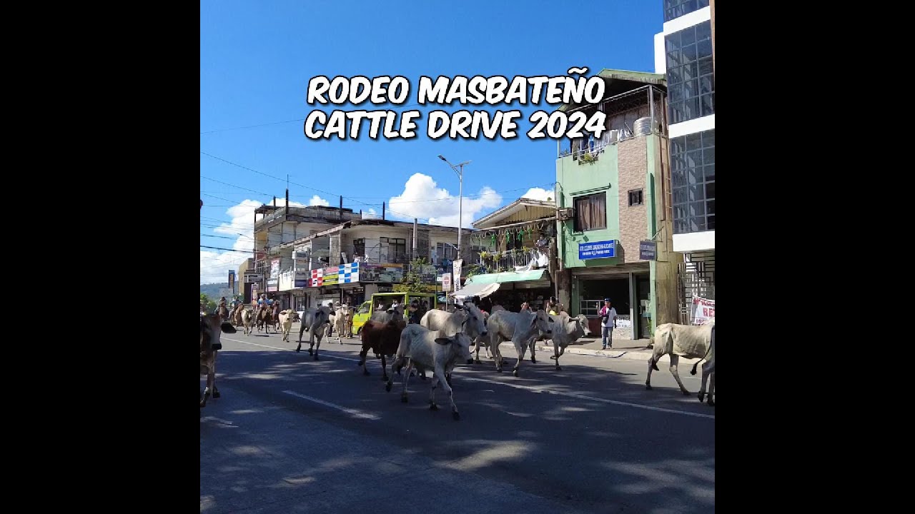 Catlle Drive Rodeo Masbateño Festival 2024 - YouTube