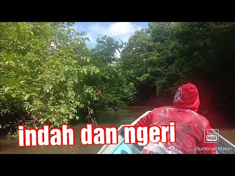 TERABASAN NEKAT MENUJU DANAU SELULUK - YouTube