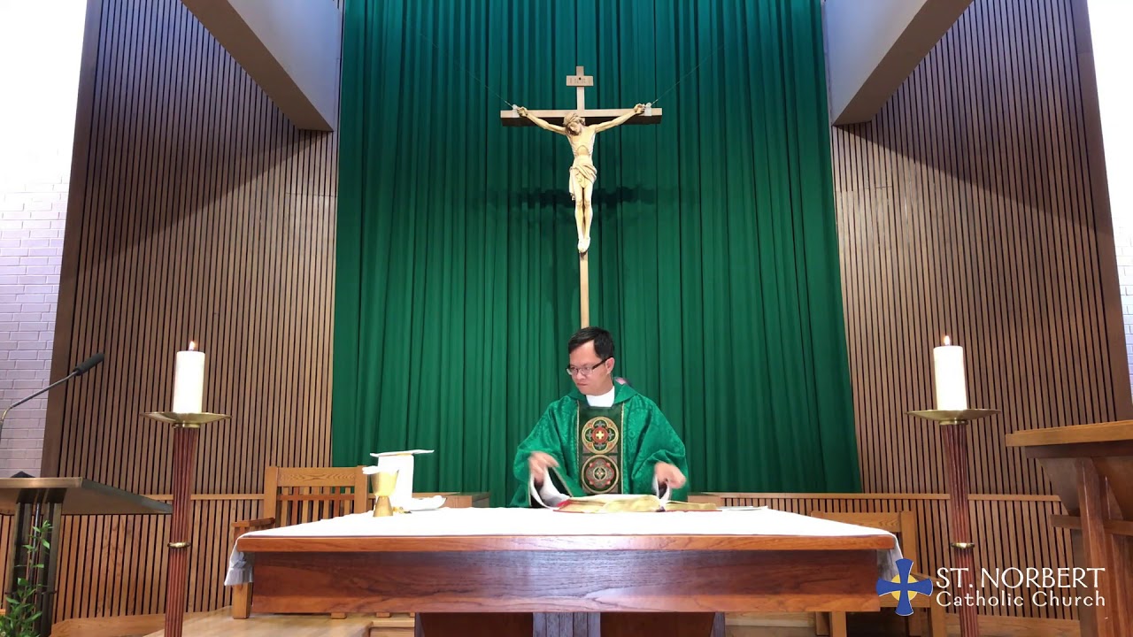 2020 07 08 Wednesday of the 14th Week of Ordinary Time - YouTube
