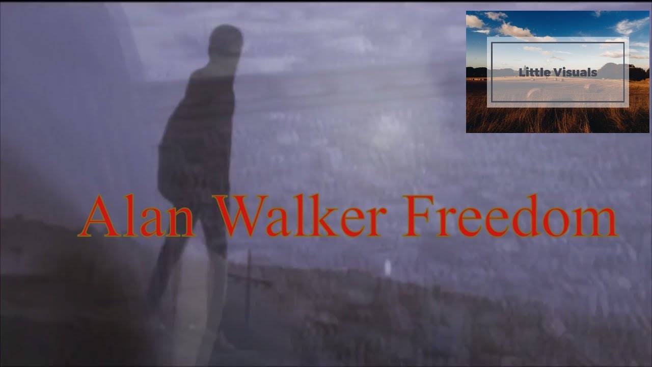 Alan Walker Freedom MV Action - YouTube