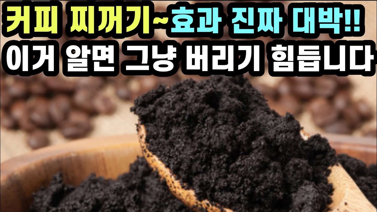 커피 찌꺼기 사용 및 보관방법 Youtube