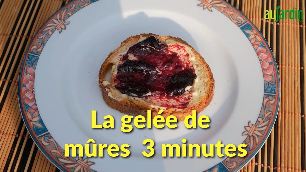 La GELÉE de MÛRE 3 MINUTES, une RECETTE EXTRA et FACILE 😃😃 - YouTube