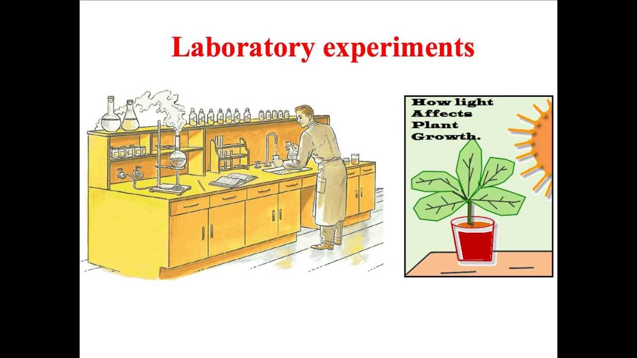C2: Experiments - YouTube
