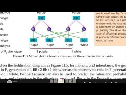 5D INHERITANCE - YouTube