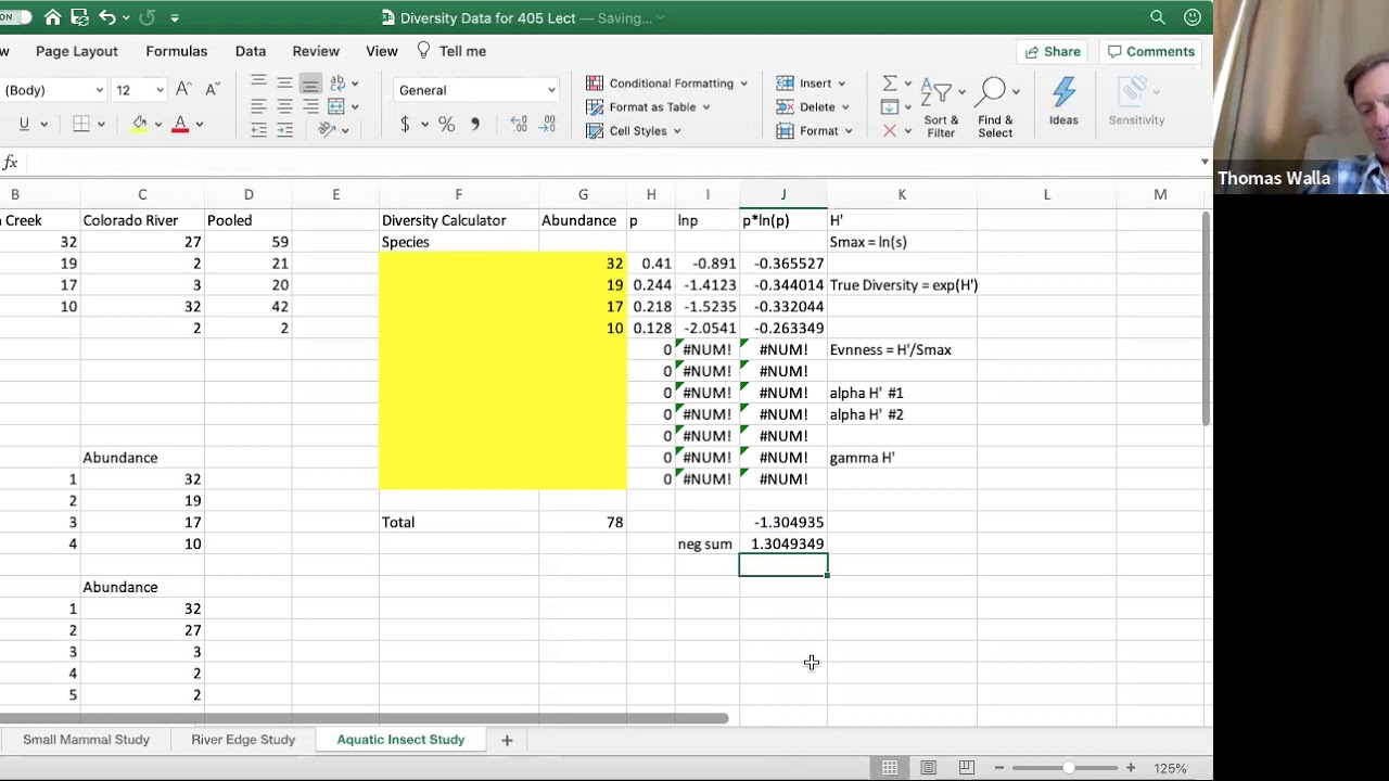 How to do Diversity Calculations in Excel - YouTube