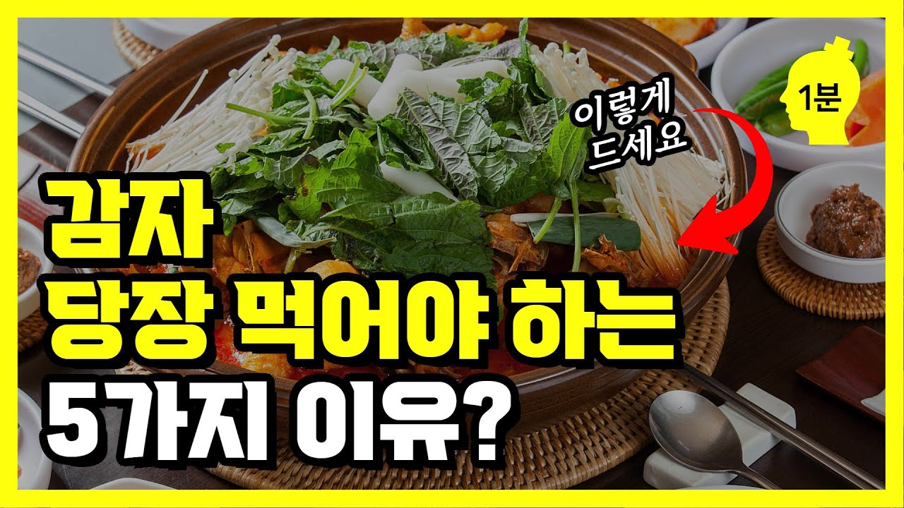감자 당장 먹어야 하는 5가지 이유 항산화 피부미용 부종에 좋은 음식 감자 먹는 방법 50대 중년 이후 필수 건강