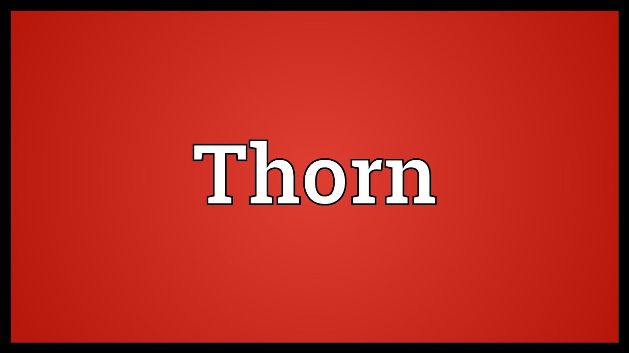 Thorn Meaning YouTube thorn-meaning-youtube