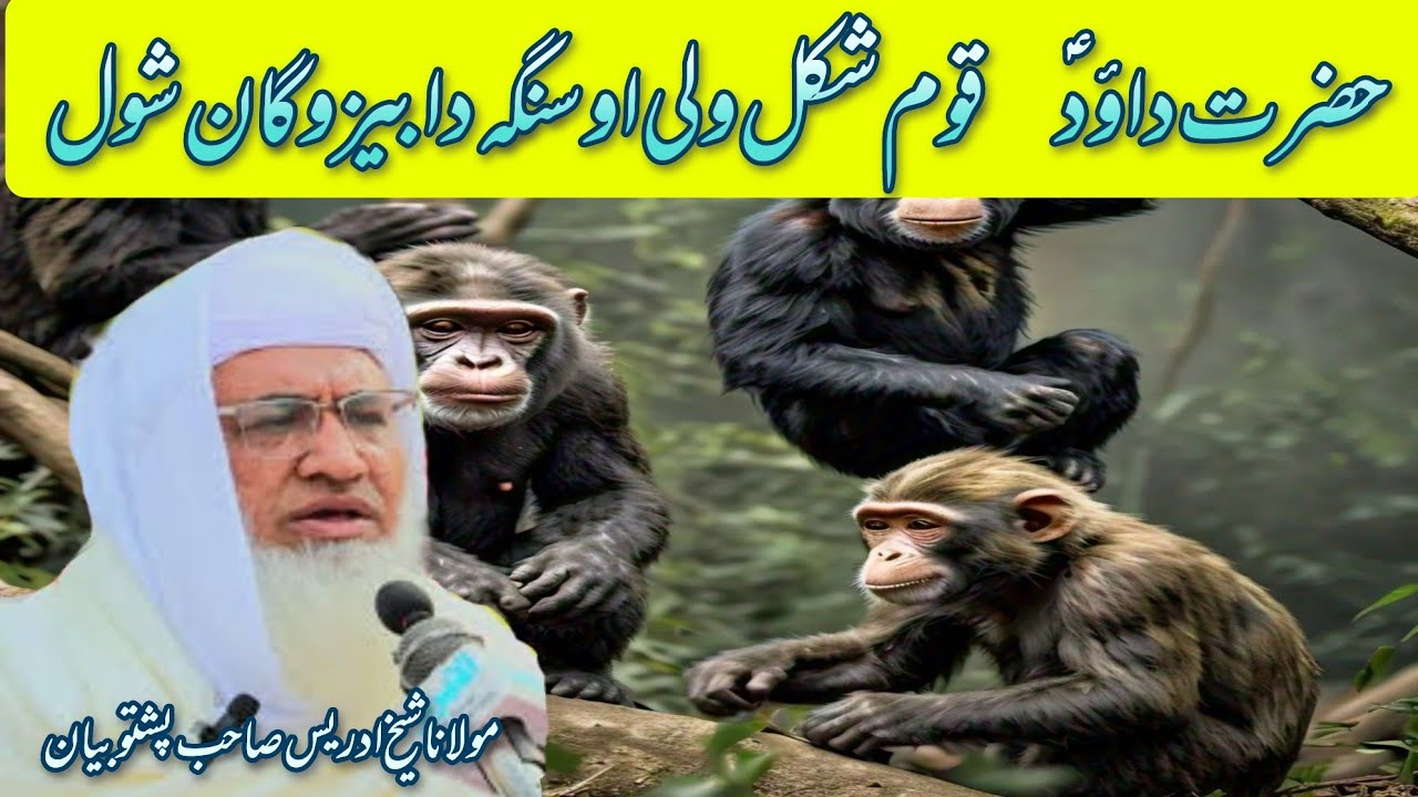 حضرت داؤد علیہ السلام کی قوم بندر کیسے بن گئی؟\Hazrat dawood as ka ...