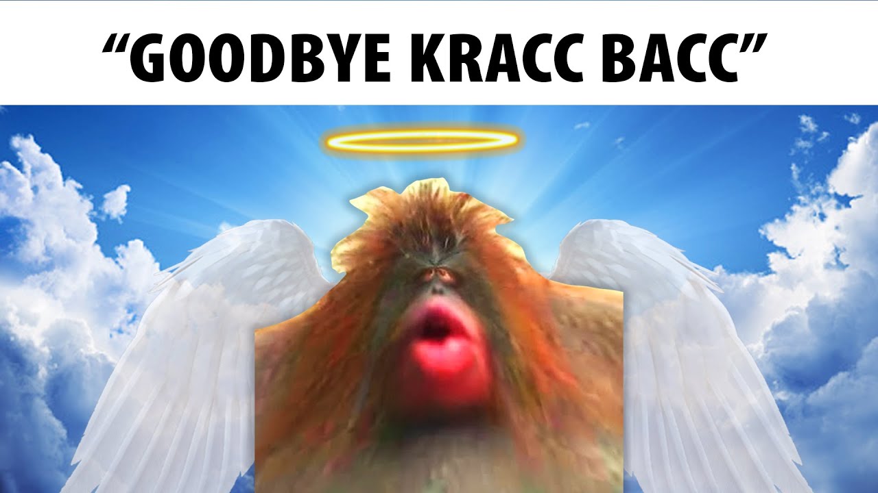 Free Kracc Bacc 💔 - YouTube