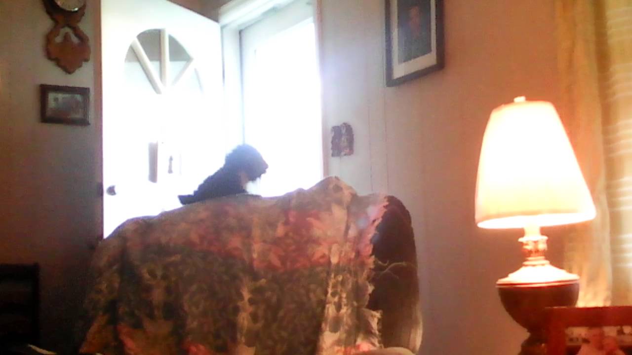 minion show episode 2 james strasburg - YouTube