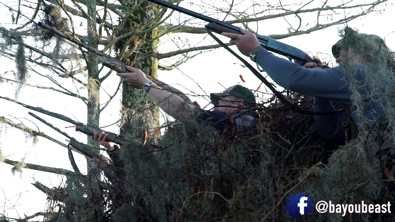Bayou Beast Calls - YouTube