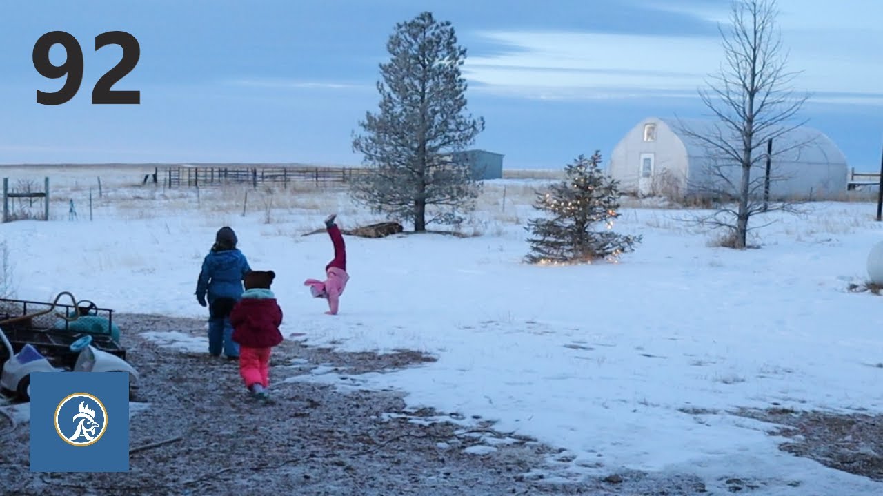 Snow Day on the Homestead - Aleman Homestead 92 - YouTube