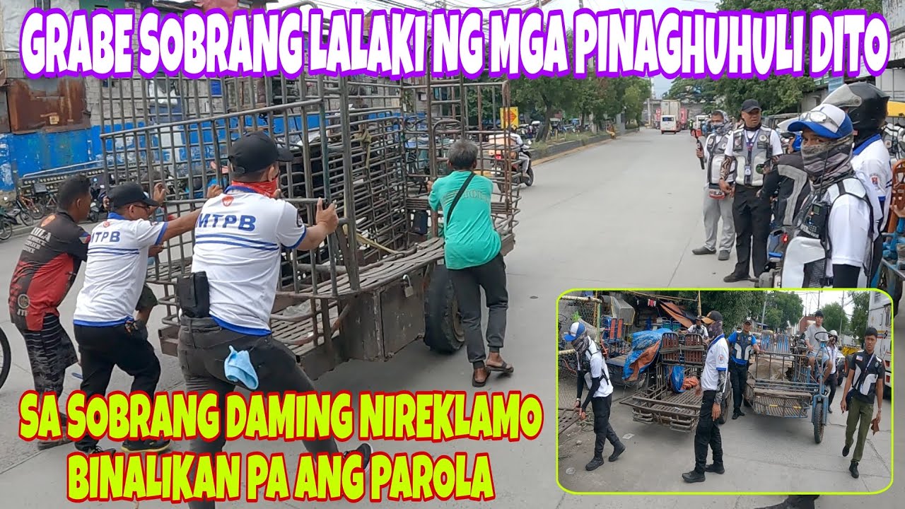 GRABE SOBRANG LALAKI NG MGA PINAGHUHULI DITO!!! SA SOBRANG DAMI ...