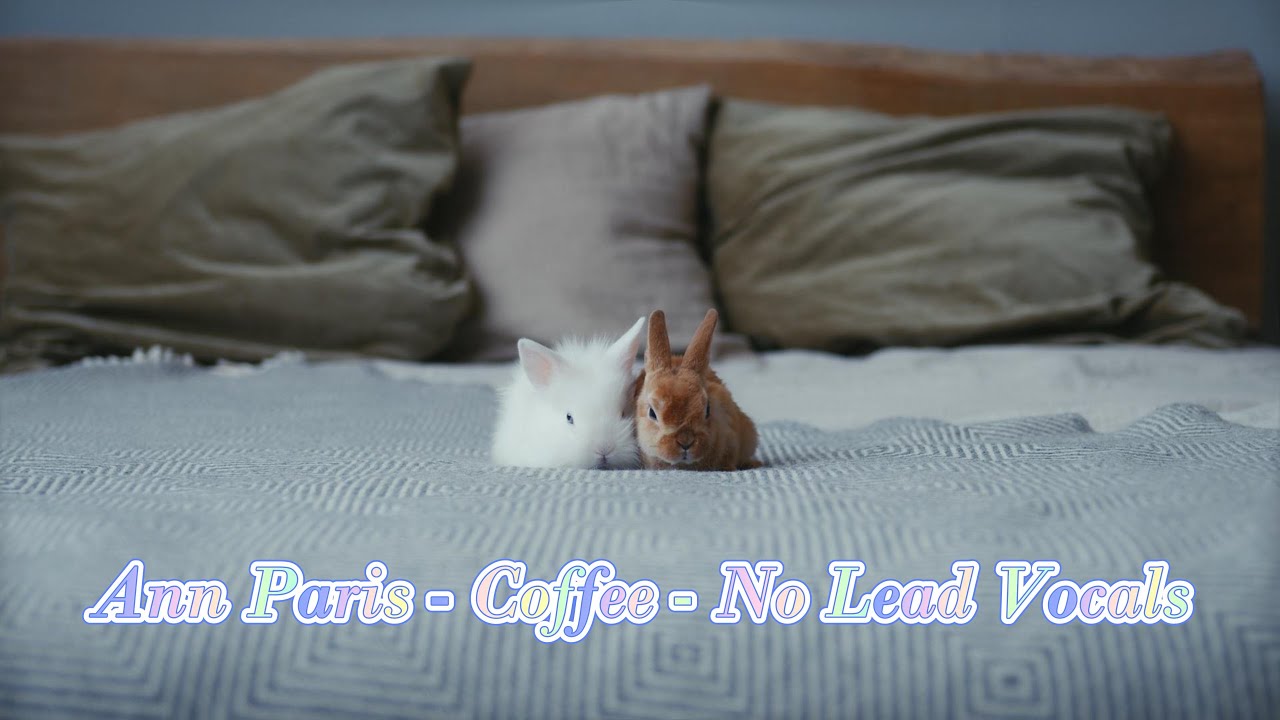 Ann Paris - Coffee - No Lead Vocals - YouTube