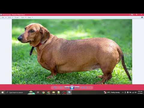 PicoCTF- Dachshund Attacks - YouTube