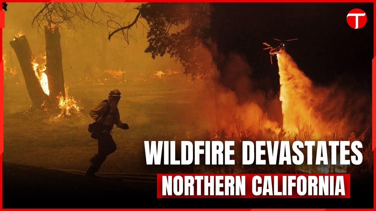 Thompson Wildfire Devastates Northern California | Northern California ...