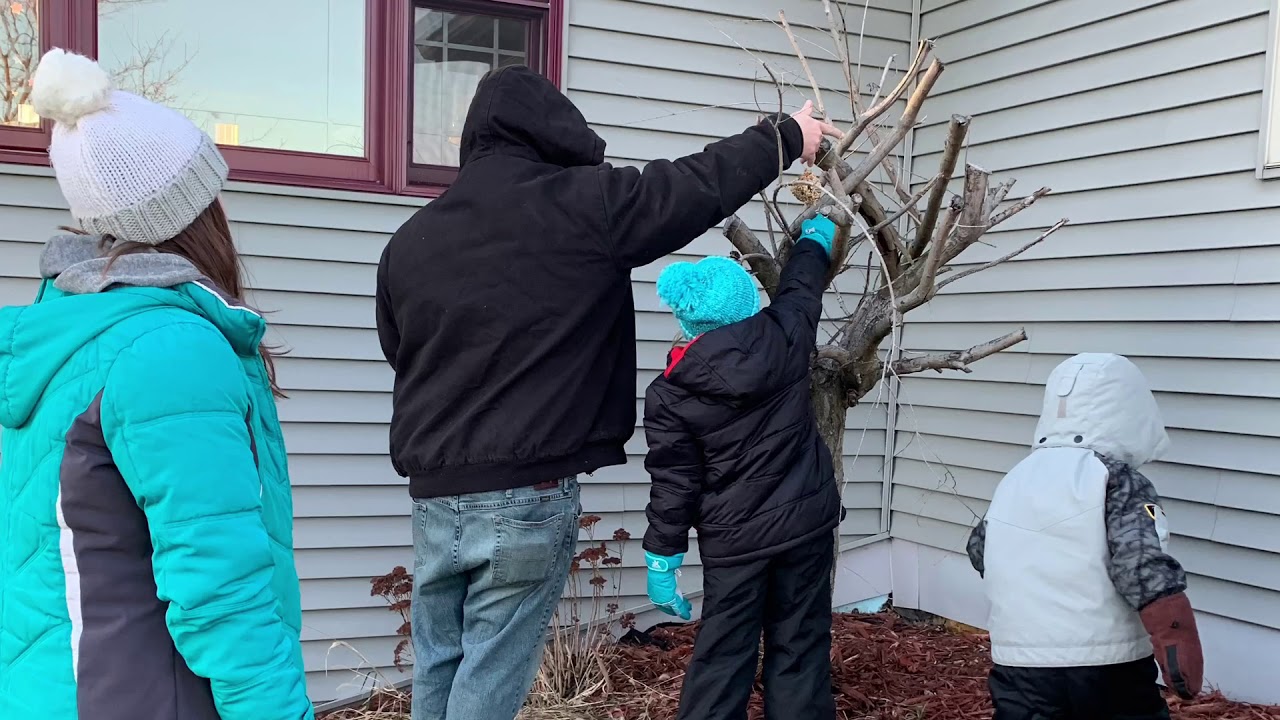 Welcome To The Kulick Family Farm - YouTube