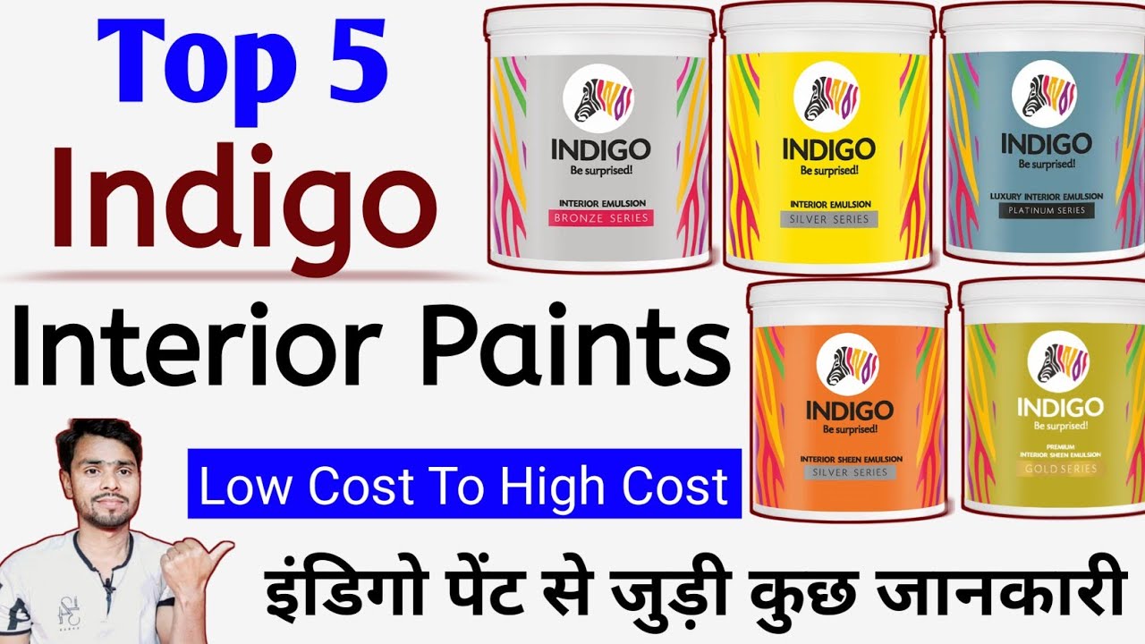 Top 5 Indigo Interior Paint Price & Review | Indigo Paints - YouTube