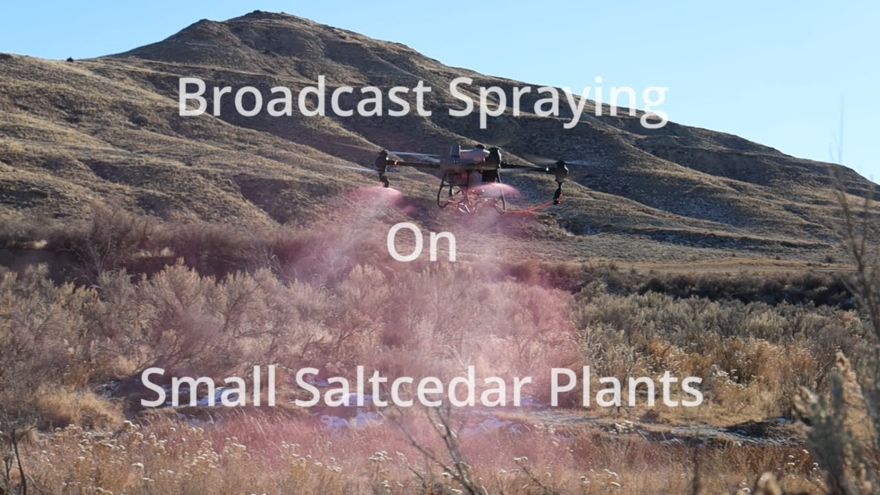 Broadcast Spraying Small Saltcedar Plants - YouTube