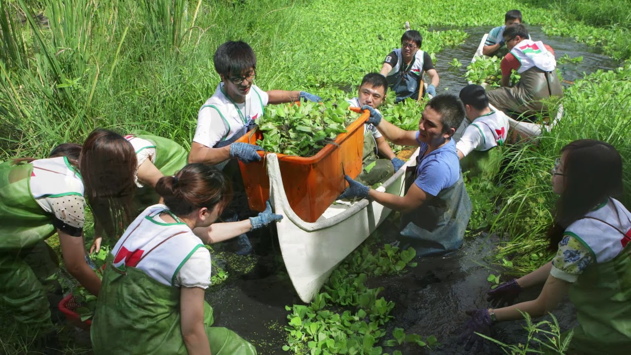 Sinyi Realty | Introduction - YouTube