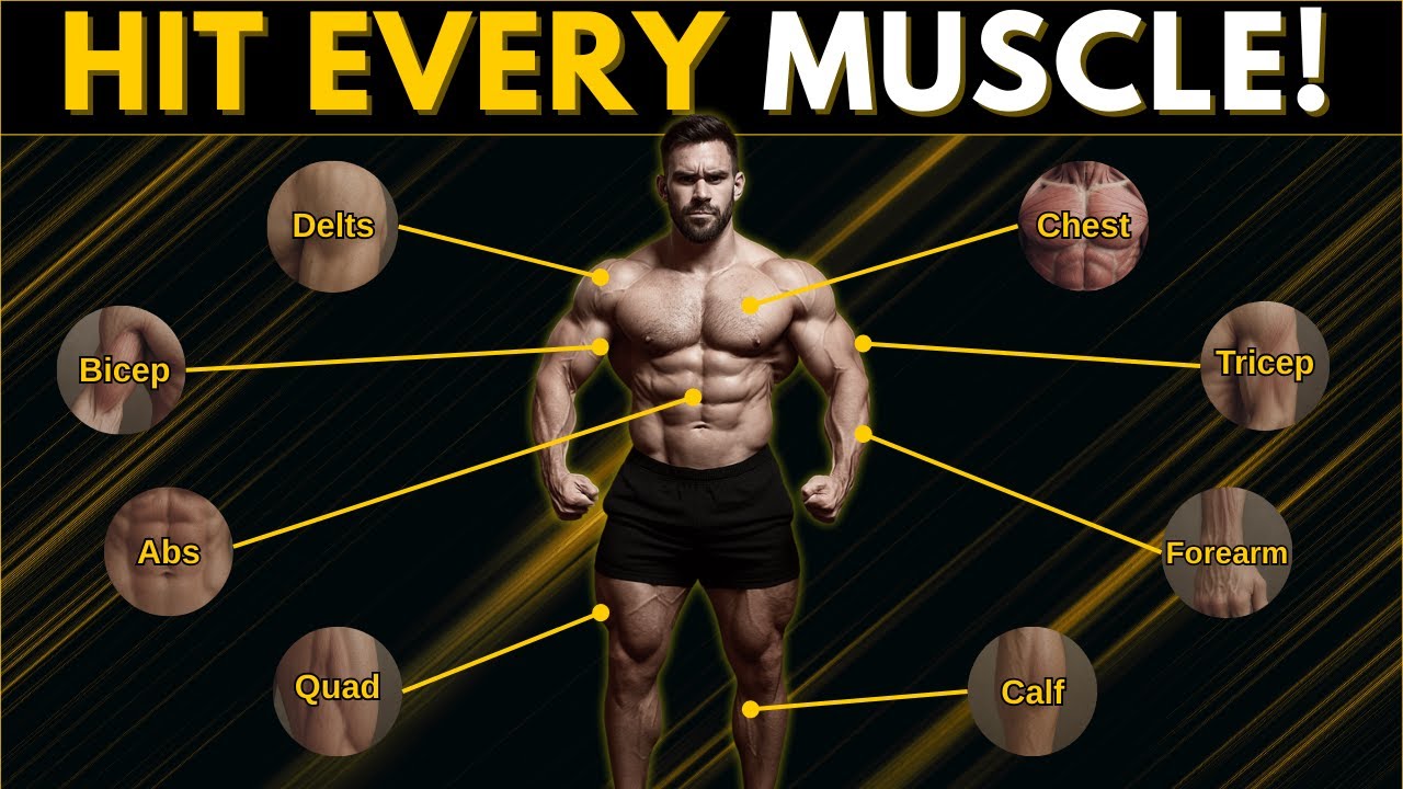 The #1 Exercise for Every Muscle Group (No BS Guide) - YouTube