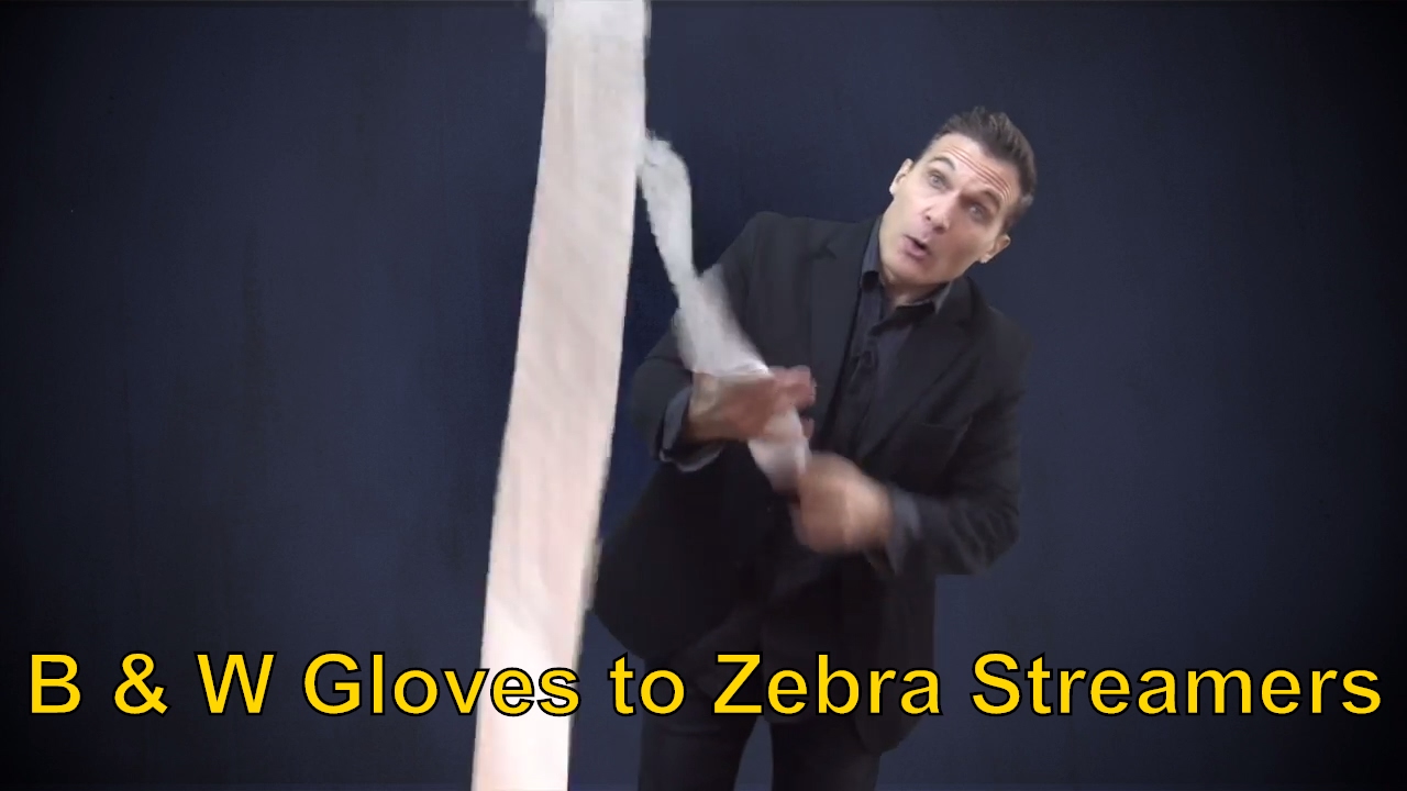 Black and White Gloves to Zebra Streamer 2.0 - YouTube