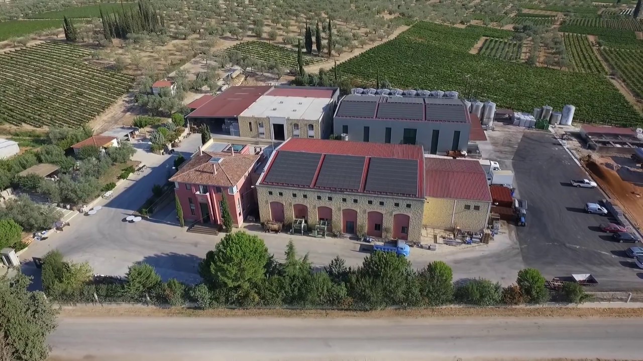 Lafazanis Winery - 70 years of vinification! | Οινοποιία Λαφαζάνη – 70 ...