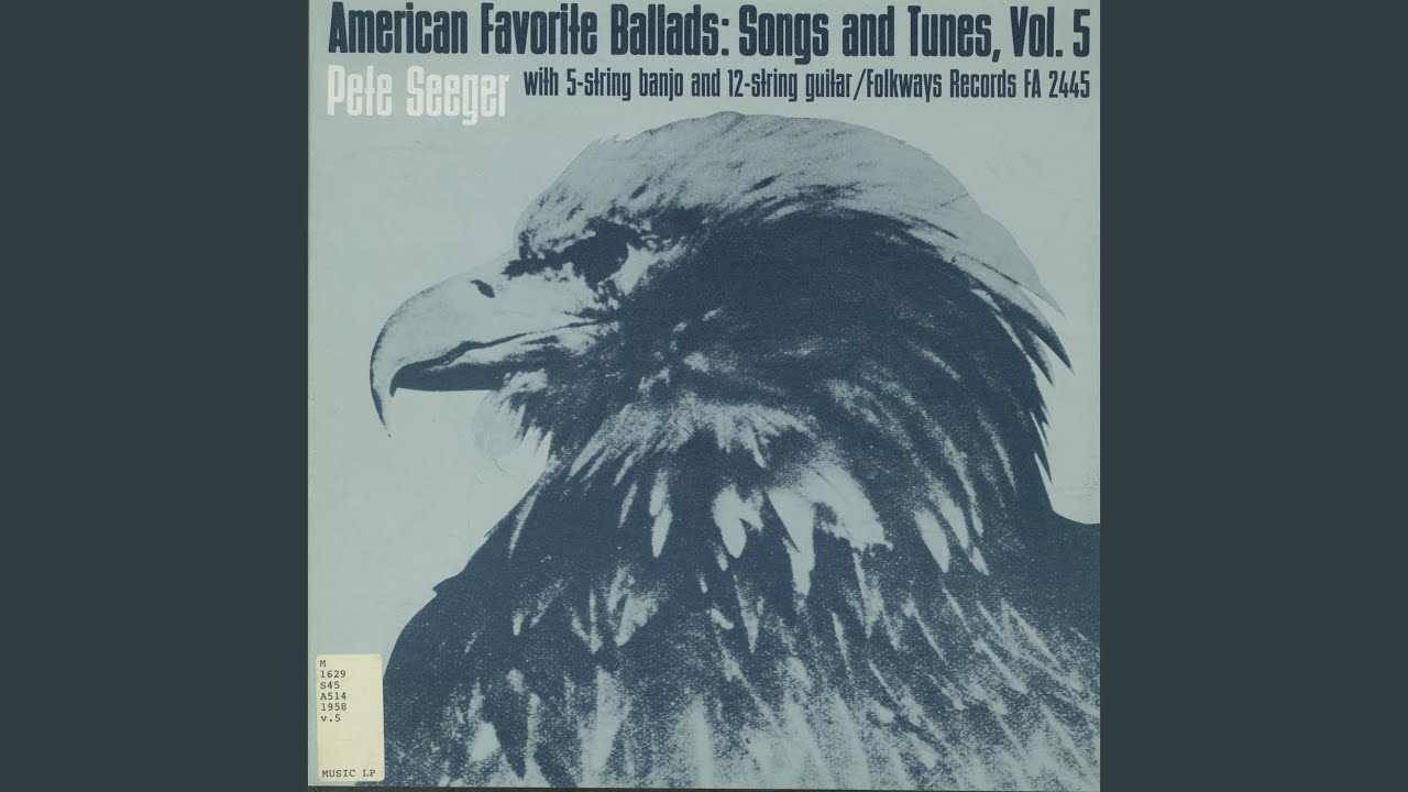 Leatherwing Bat - YouTube