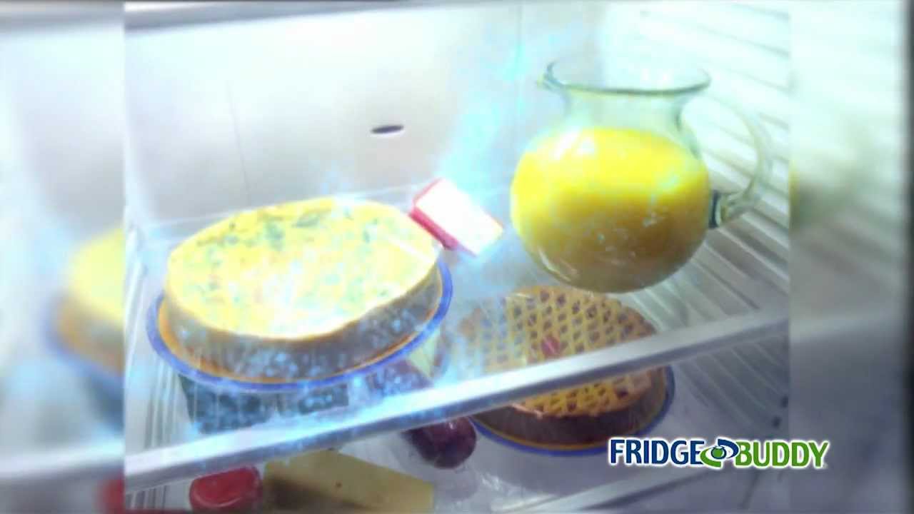 Fridge Buddy.mp4 - YouTube