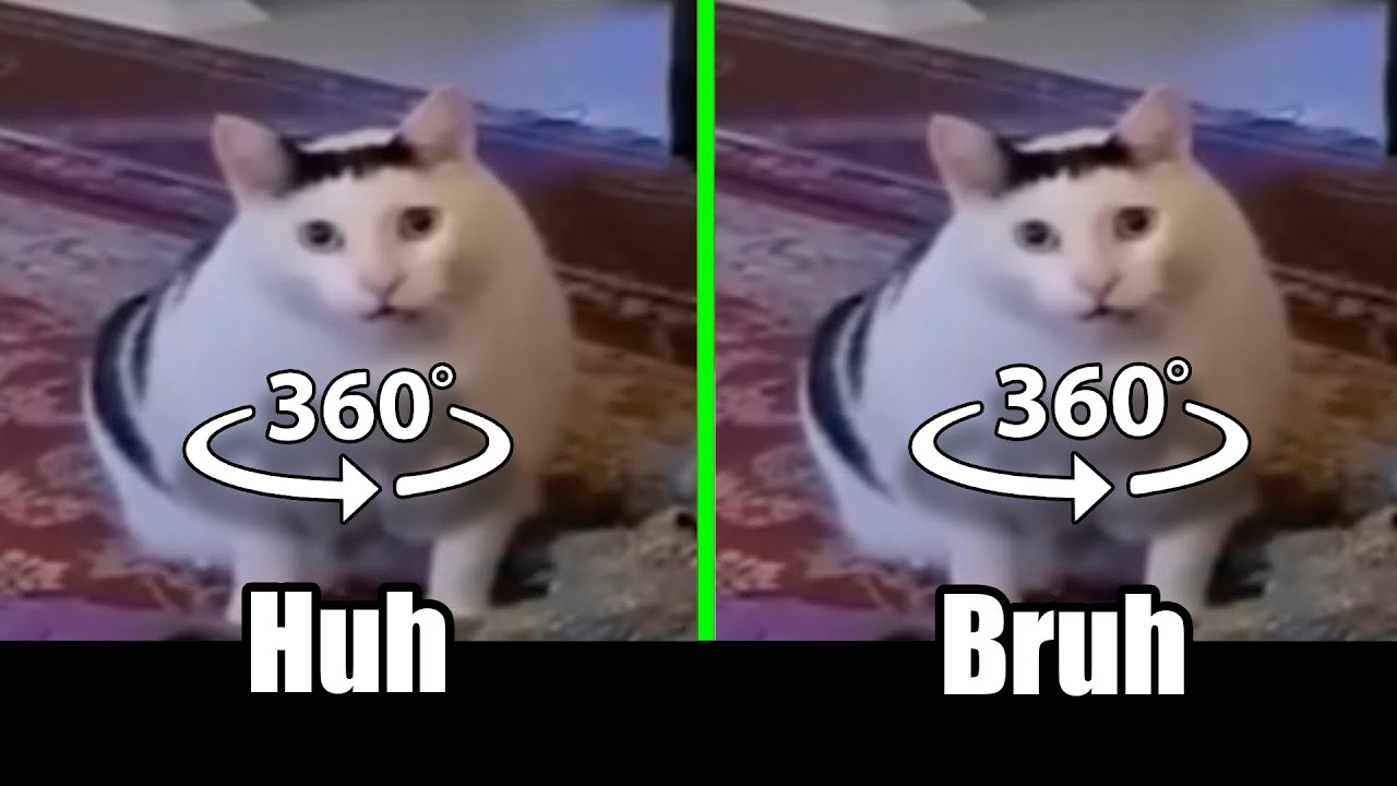 Huh! vs Bruh cat which is good? 360º VR - YouTube