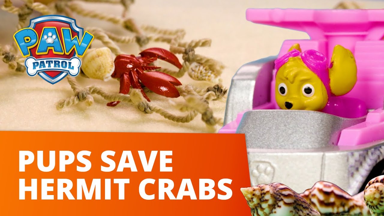 PAW Patrol - Pups Save the Hermit Crabs! Toy Pretend Play Rescue For ...