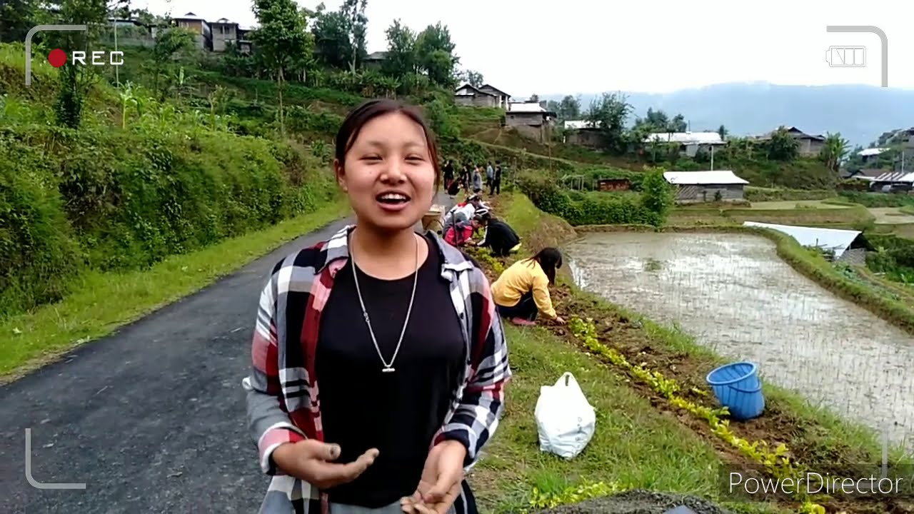 WORLD ENVIRONMENT DAY|| 2020 || PHUBA KHUMAN|| GO GREEN LIVE GREEN ...